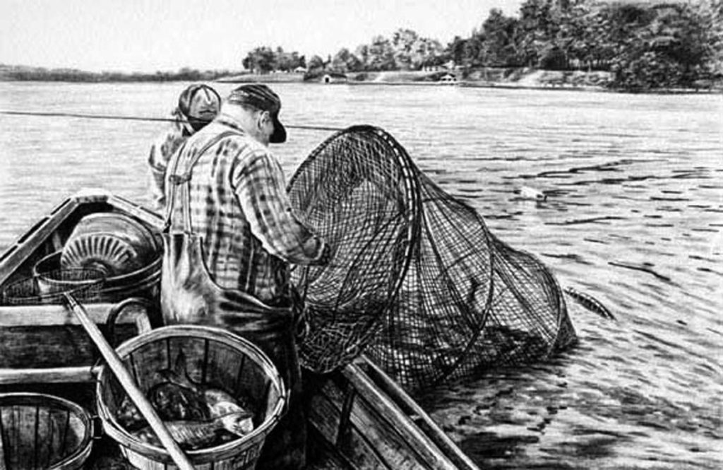 Fyke Netting - Neil Harpe Artist